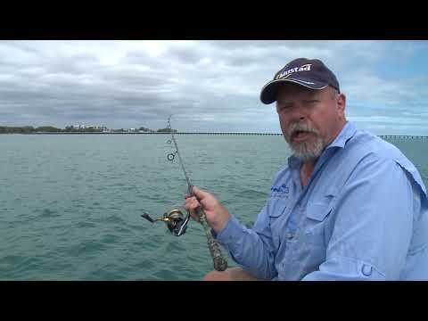 STOP Commercial Netting in the Great Sandy Marine Park | Steve Starling - Starlo