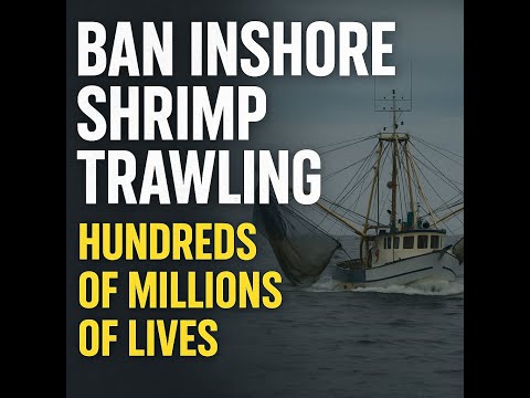 NC Fishing just got REAL: The fight to BAN inshore trawling