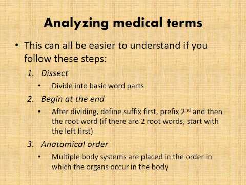 MBC Vet Tech Online Review 1.2 - Terminology Building Blocks