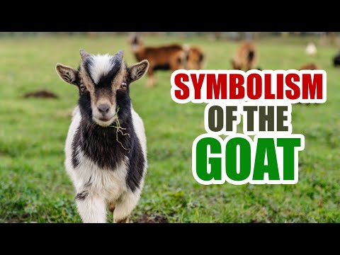 Goat – Spirit Animal, Bible Meaning and Symbolism of the Goat - Sign Meaning
