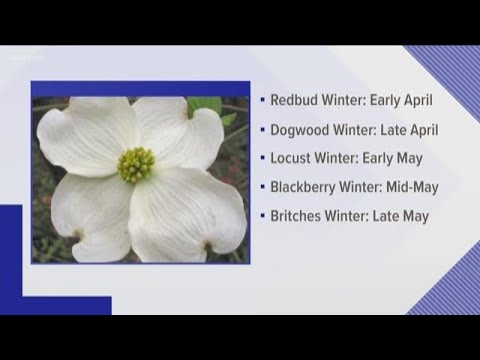 10Listens: What 'little winter' are we in?