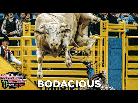Bodacious Bull Poster