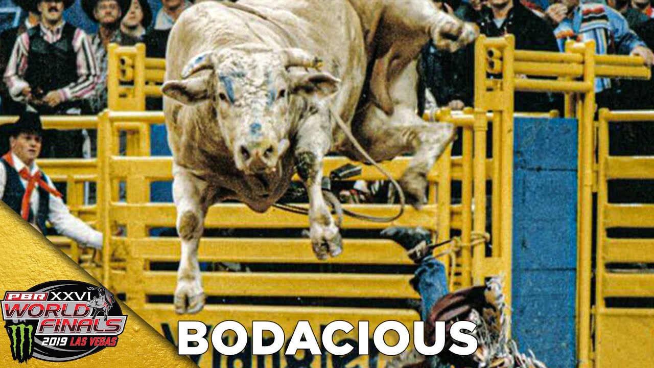 BODACIOUS Receives the 2019 BRAND OF HONOR