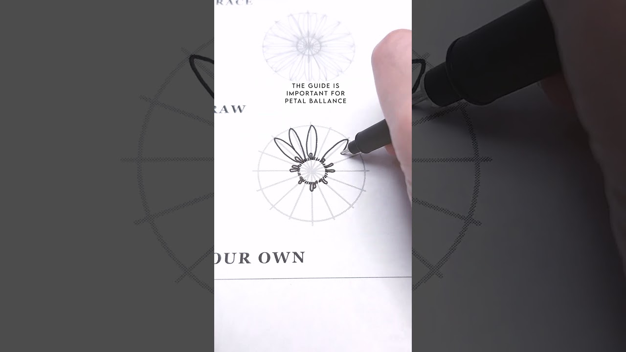 A simple and easy way to draw the aster flower in a few stages 🥰✨#aster