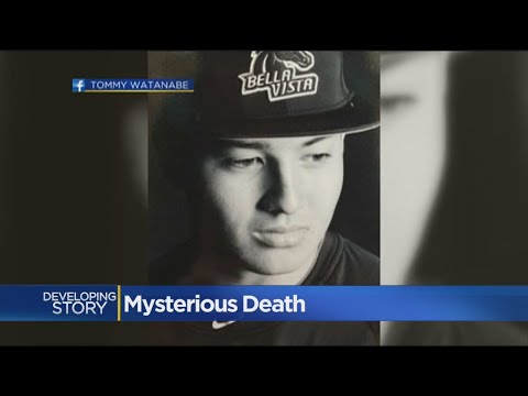 Young Baseball Player's Sudden Death Shocks Family, Friends