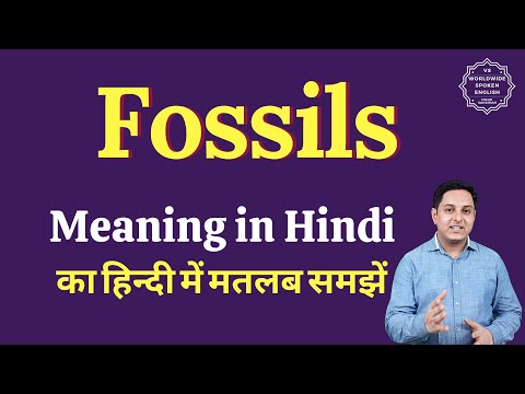 Fossils meaning in Hindi | Fossils ka matlab kya hota hai