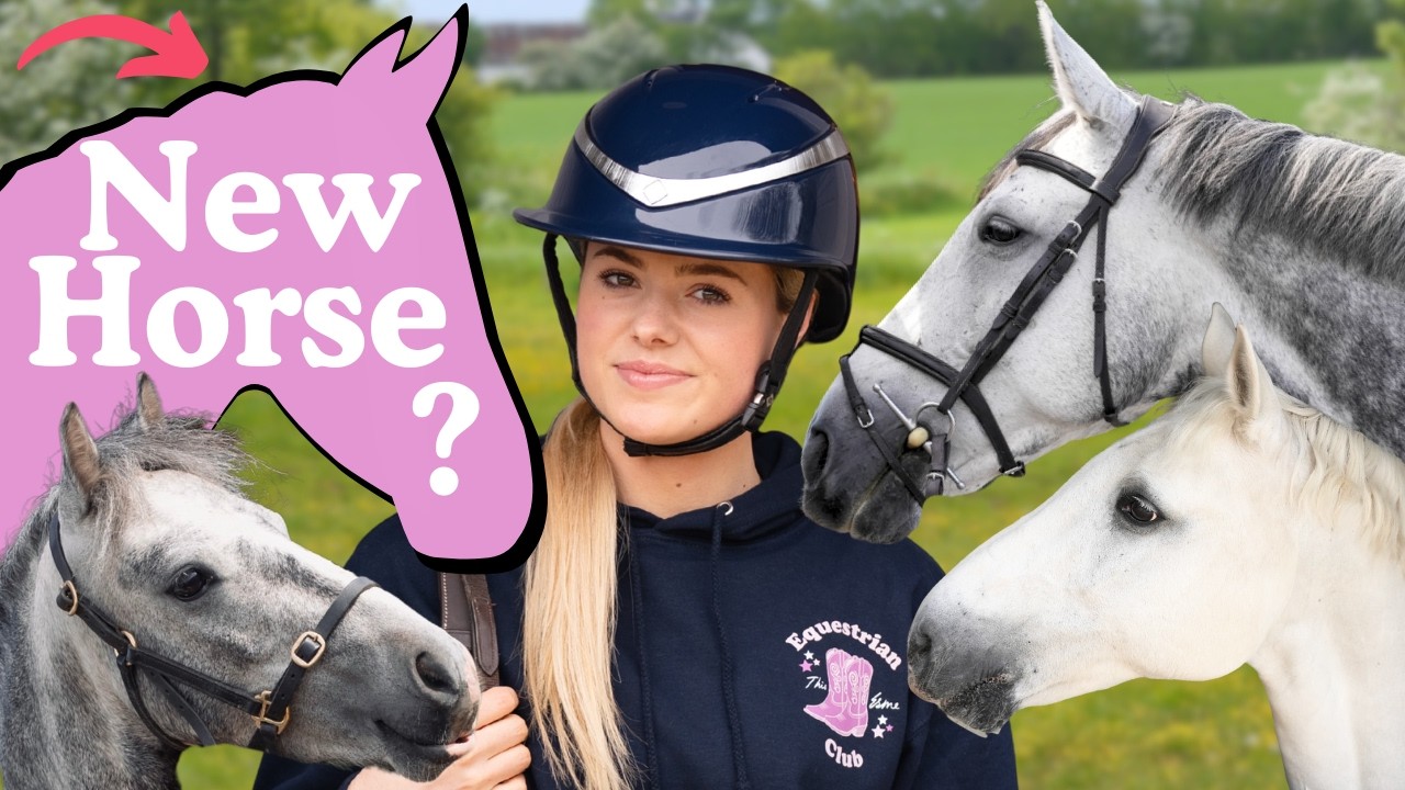 It's OFFICIAL! I'm getting a NEW HORSE!