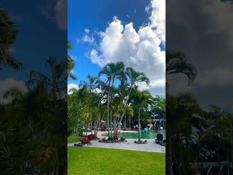 Airlie beach big 4 best place to be #airliebeach #caravanlife #travelblogger #travel #fulltimetravel