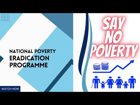 NAPEP AND ITS' FUNCTIONS 175