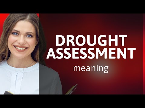 Understanding Drought Assessment: A Guide
