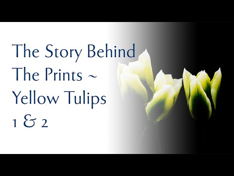 The Story Behind The Prints - Yellow Tulips 1 & 2 - Paul Ligas Photography