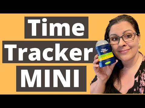 Time Tracker Mini Review