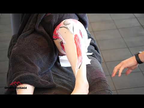 The Tibialis Anterior - Anatomy Body Painting