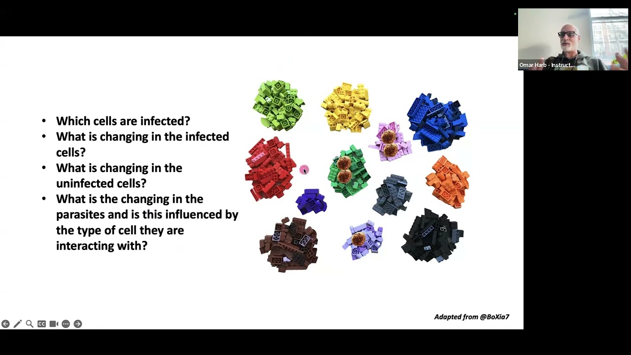 Single Cell Introduction