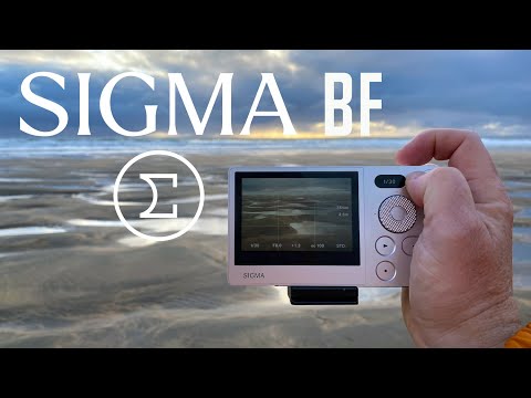 SIGMA BF: A Cult Classic in the Making, or Just a Beautiful Anomaly?
