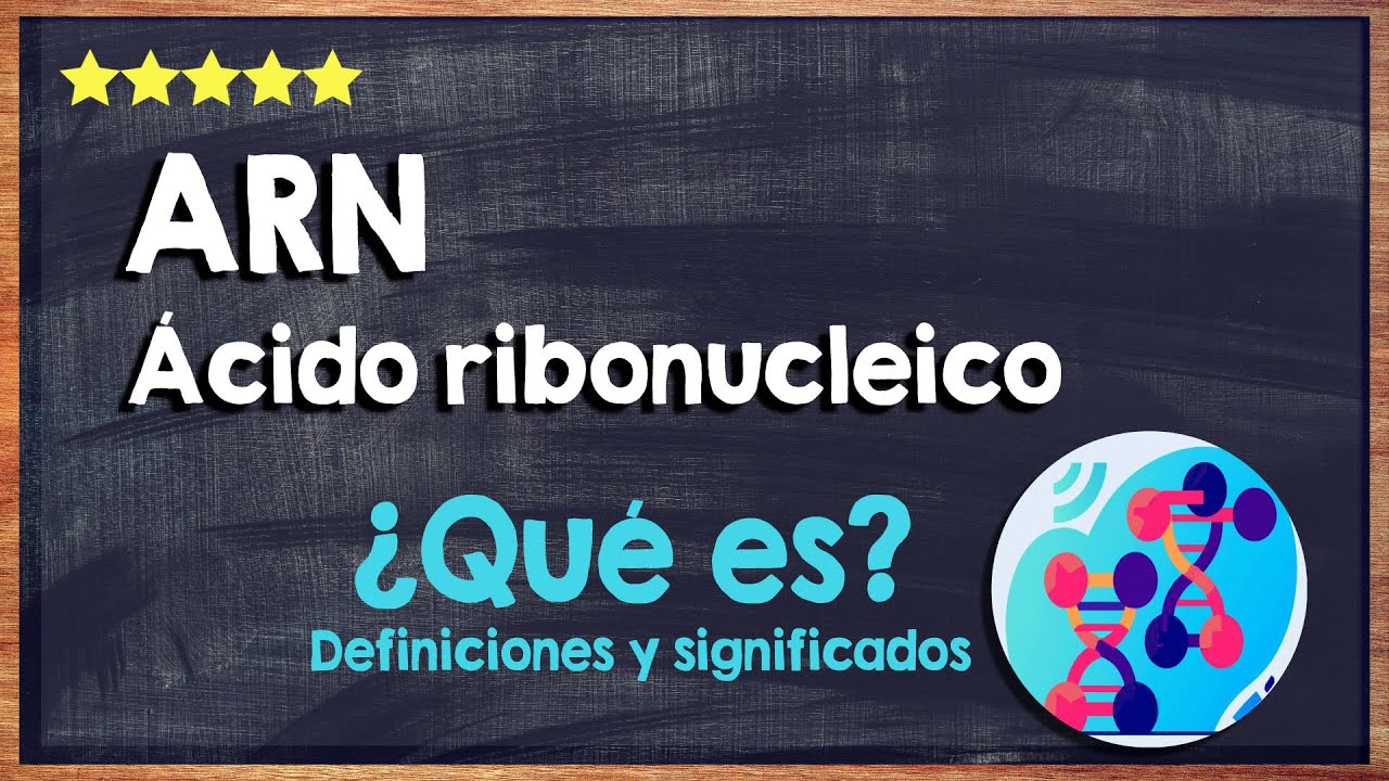 🙏 ¿Qué es ARN? - Conoce todo Sobre el Ácido Ribonucleico 🙏
