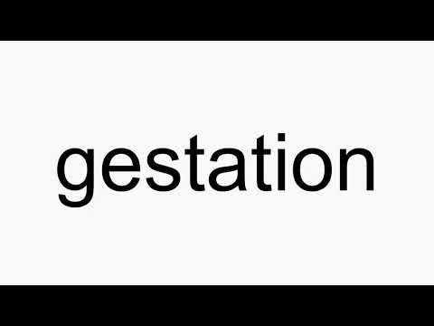 How to pronounce gestation