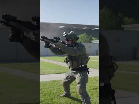 Meet the SWAT Team