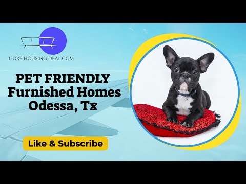 Pet Friendly Vacation Rentals Odessa