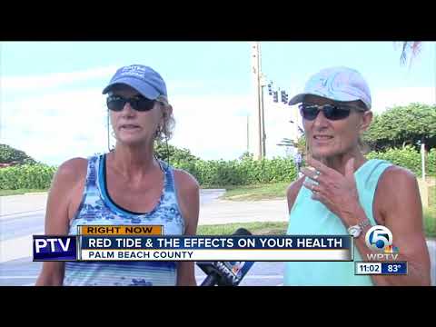 Red tide and the effects on your health
