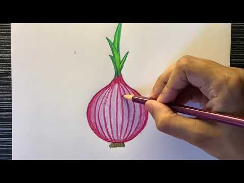 Onion Drawing Step by Step Tutorial – I'm Youtuber – Follow my videos ...