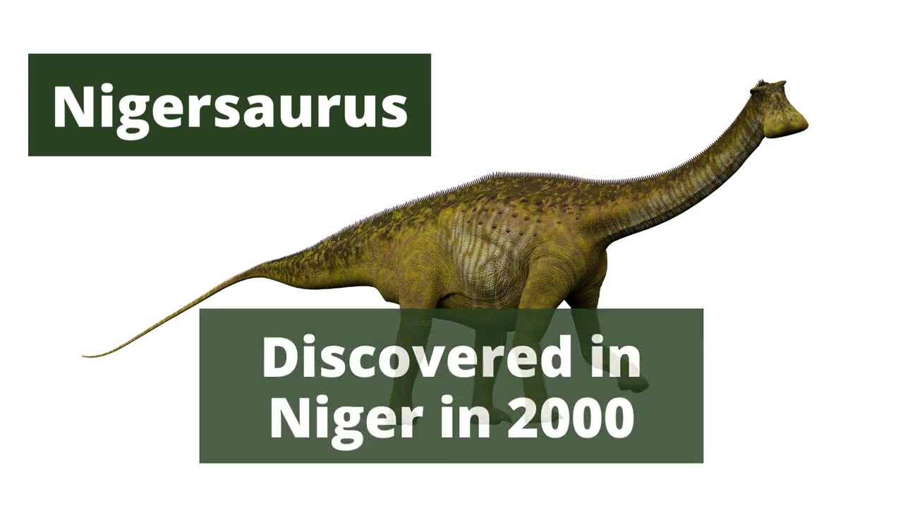 THIS Dinosaur Had 500 Teeth!