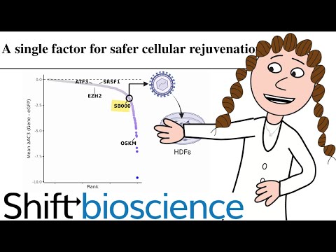 one gene for cell rejuvenation?