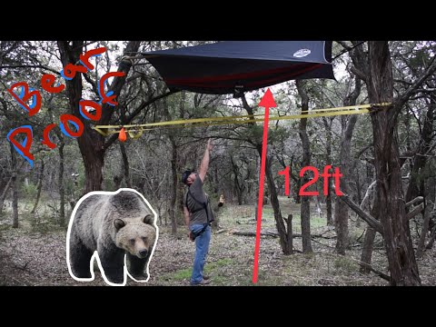 Hammock Camping in Grizzly Country