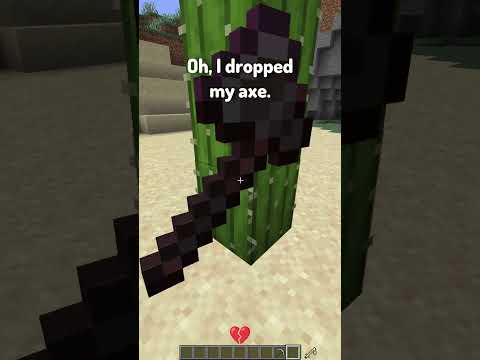 Sad Moments We All Had in Minecraft