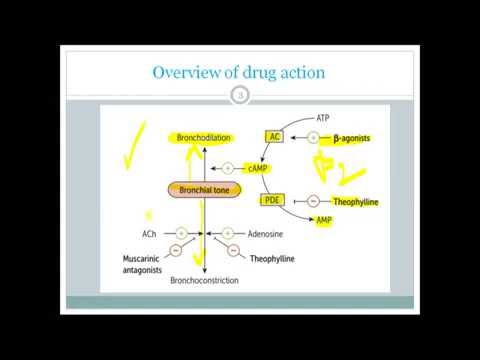 Drugs used in bronchial asthma for USMLE step 1