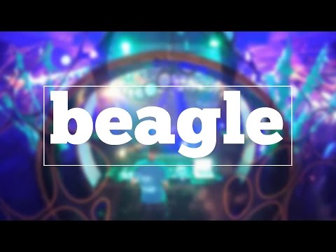 How to spell beagle