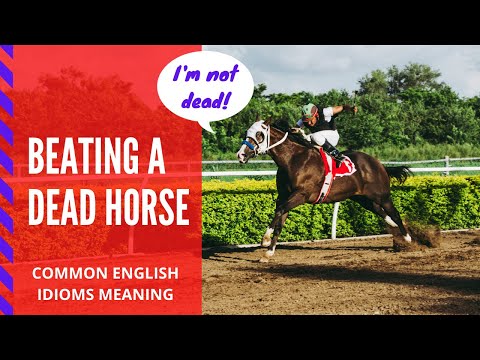 ENGLISH IDIOMS | BEATING A DEAD HORSE