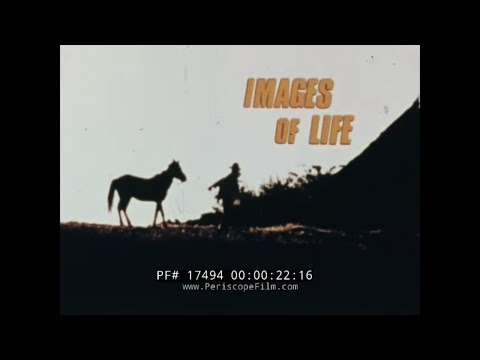 " IMAGES OF LIFE " 1977 NASA LANDSAT PROMOTIONAL FILM Earth Resources Satellite Technology 17494