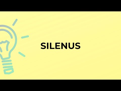 What is the meaning of the word SILENUS?