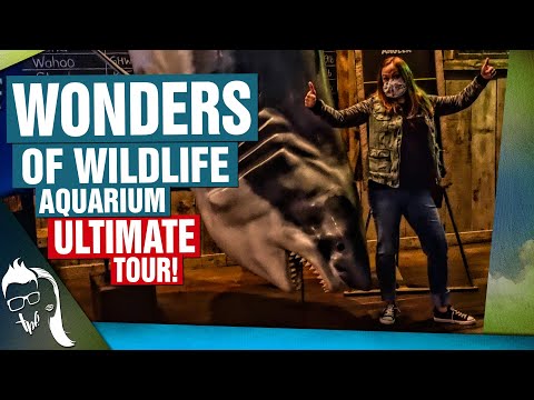 Wonders Of Wildlife | Ultimate Mega Tour! | Aquarium