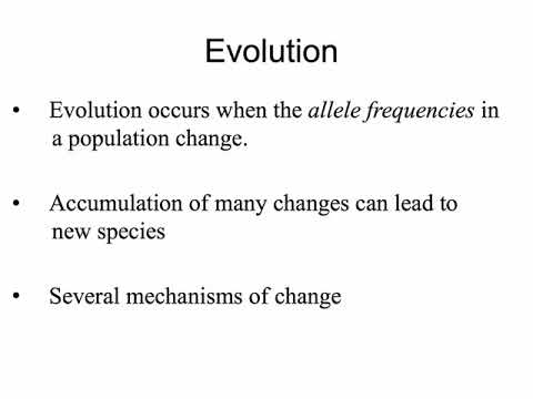 Evolution- mutations