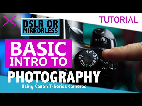 Canon T3 Basic Camera Tutorial for Photography