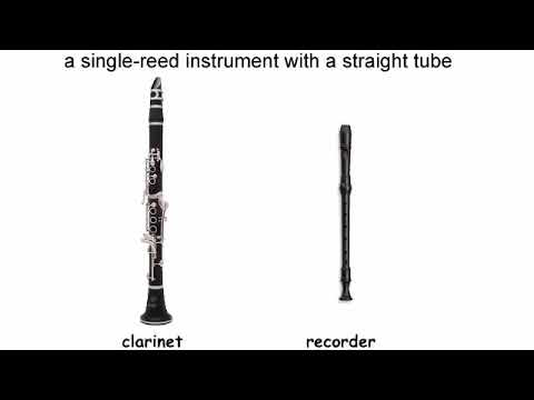 clarinet meaning | Vocabulary for Kids | Children's Dictionary | Learn English Vocabulary