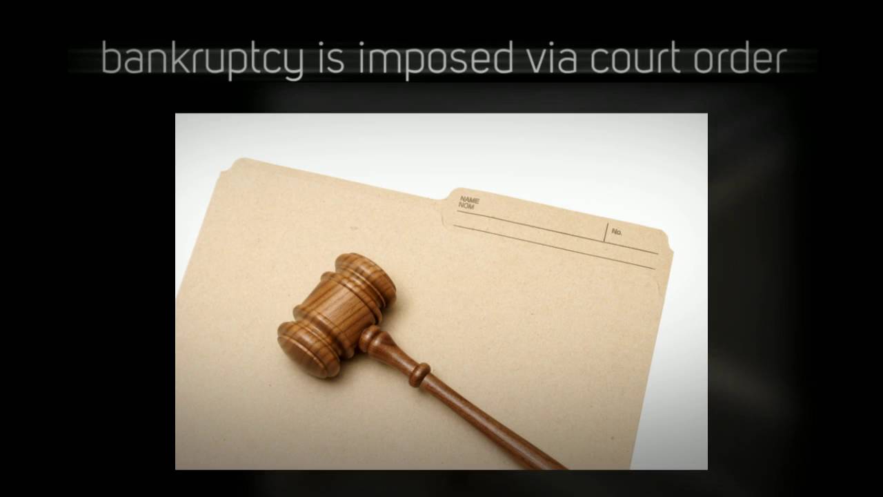 Choosing a Reliable Bankruptcy Database