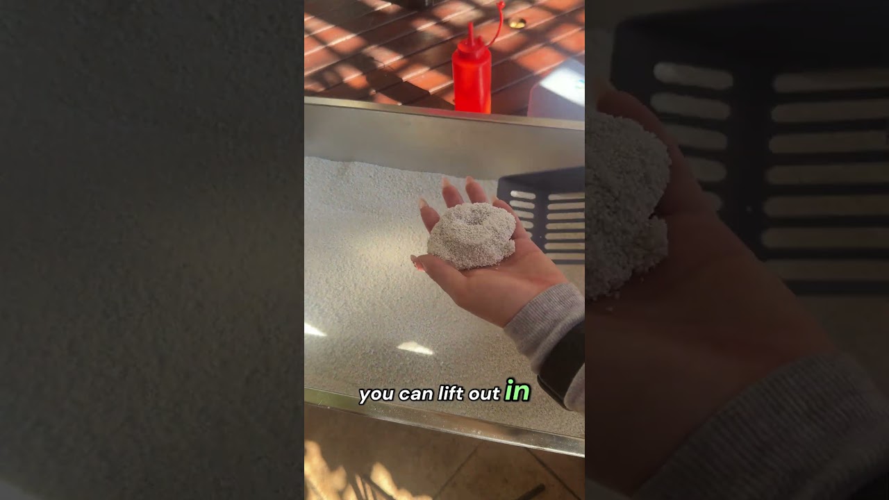 Why Cassava Cat Litter Is a Game-Changer