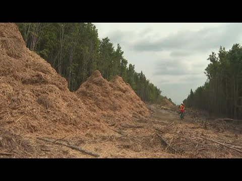 Maine Dept. of of Environmental Protection holds public hearing to discuss halting construction on n
