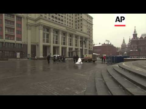 Activist held during small protest against killing of stray dogs in Sochi