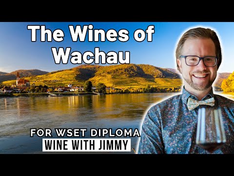 Discover The Wines of Wachau for WSET Diploma