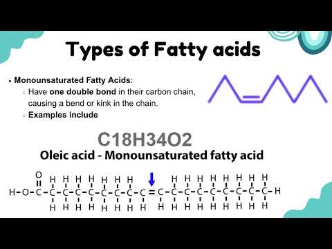 Types of Fatty Acids | Saturated, Monounsaturated & Polyunsaturated Explained Simply