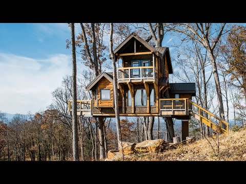 Top 10 Highly Rated Modern Treehouses | Airbnb
