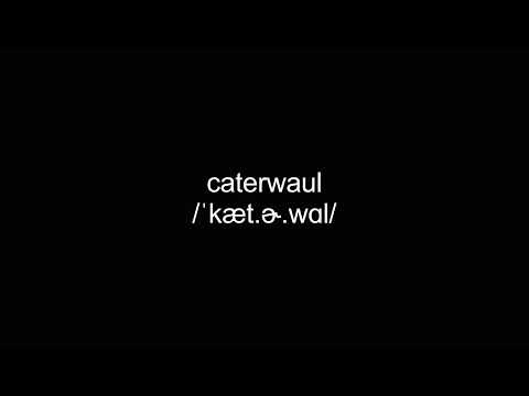 caterwaul video Dictionary meaning and pronunciation