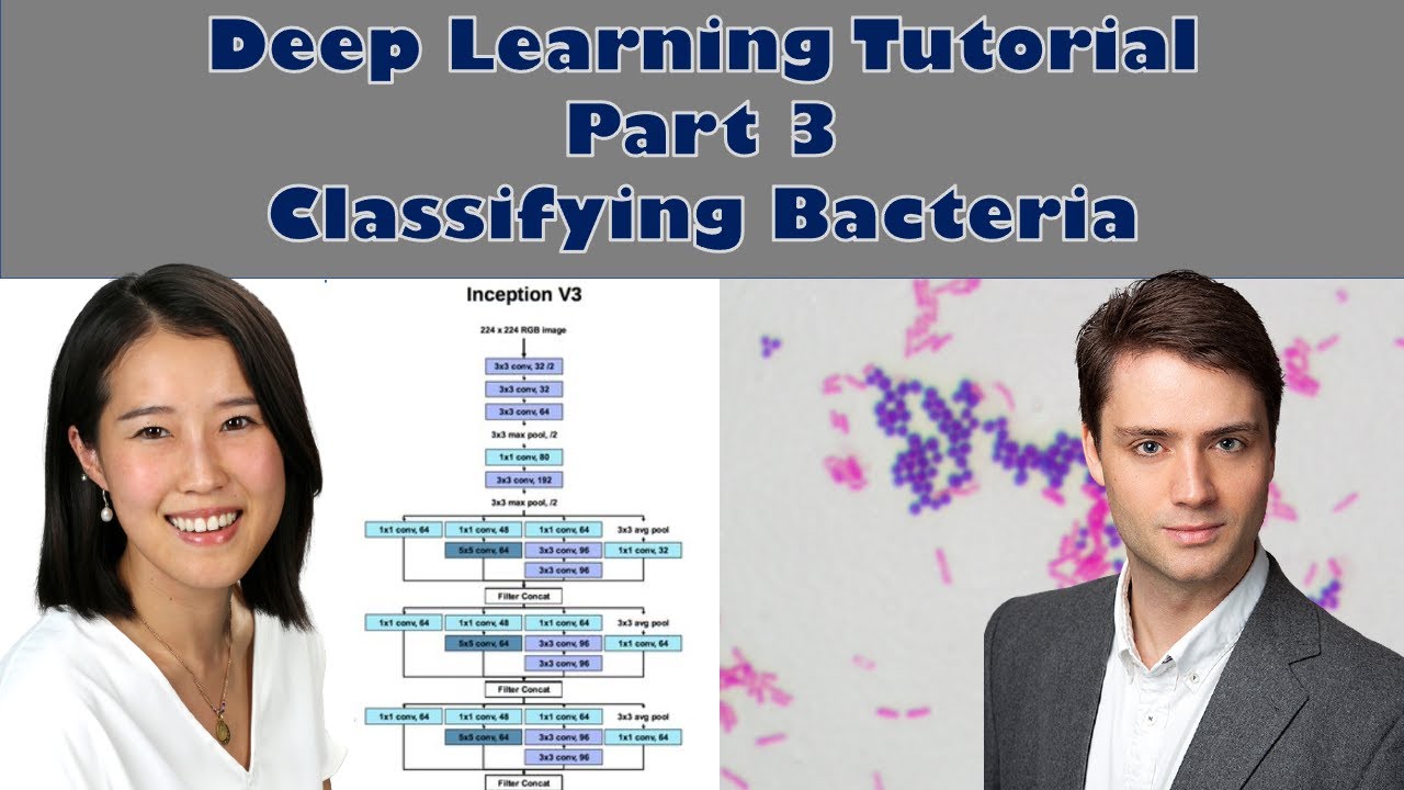 Deep Learning Tutorial Part 3: Classifying Bacteria
