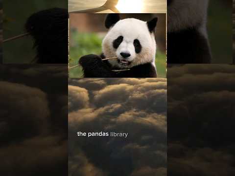 ???? What's the Pandas Library in ???? Python about ? #python #pandas
