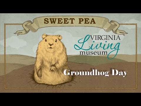 The Virginia Living Museum's Groundhog Day 2019