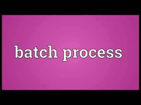Batch process Meaning